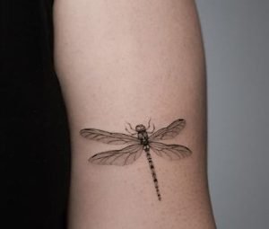 80+ Dragonfly Tattoo Ideas To Inspire Your Next Design - Tattoo Twist